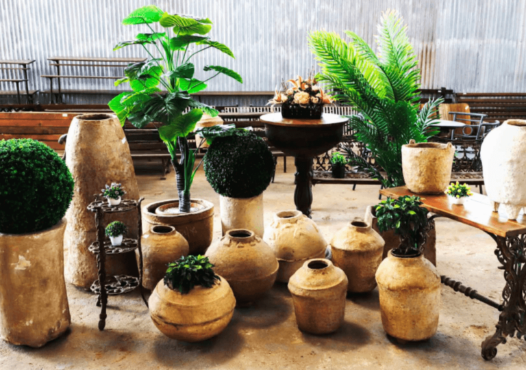 Top 10 Must-Have Plants for a Gorgeous Garden Collection